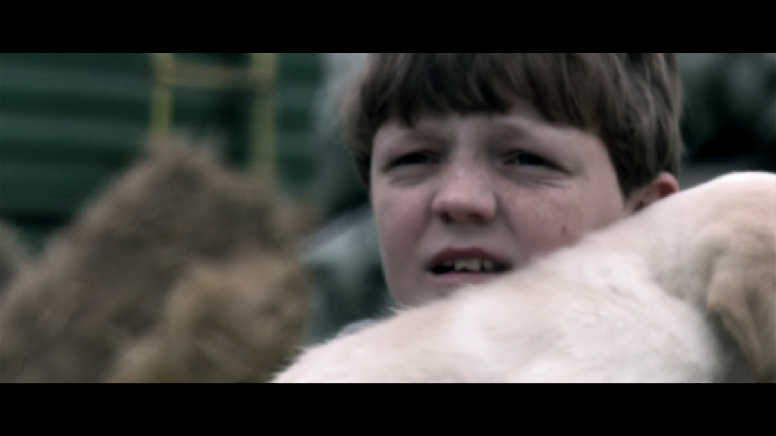 Why the dog ded | Filmcentralen