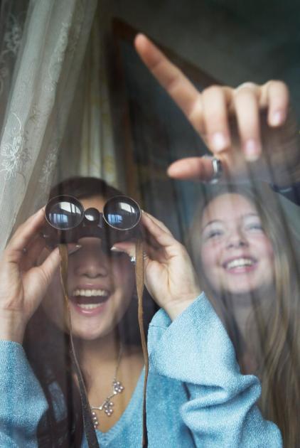 Fra Barbie til Babe | Filmcentralen